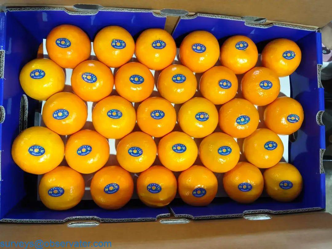 Fruit & Perishables Surveys - Cold Chain Claims in Africa - Observater ...